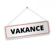 Biznesa vakance